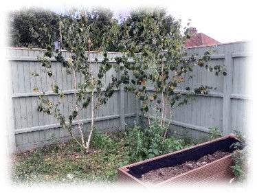 The Adnams Community Trust - Ditchingham Village Hall - Adnams PLC