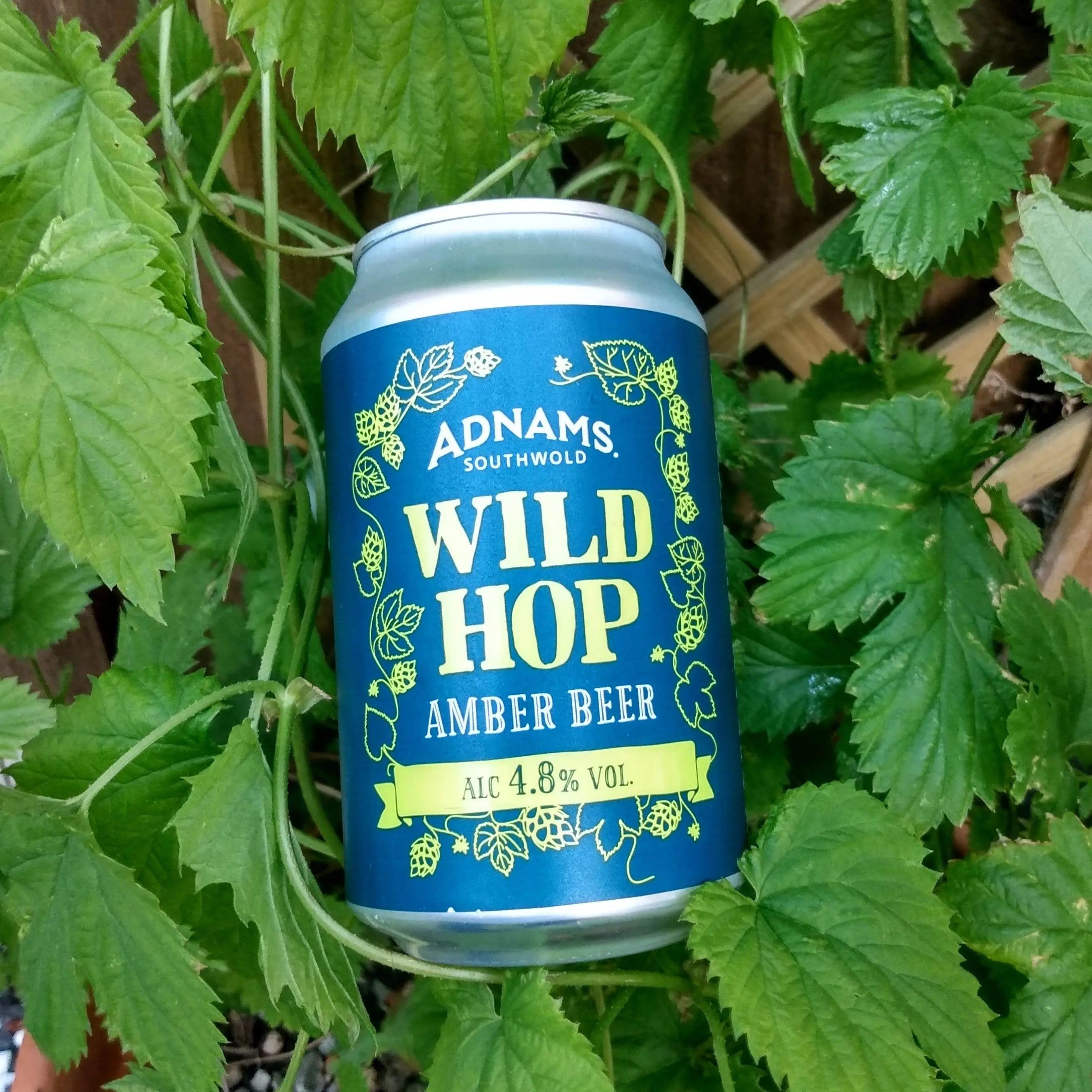 Wild Hop is back! - Adnams PLC