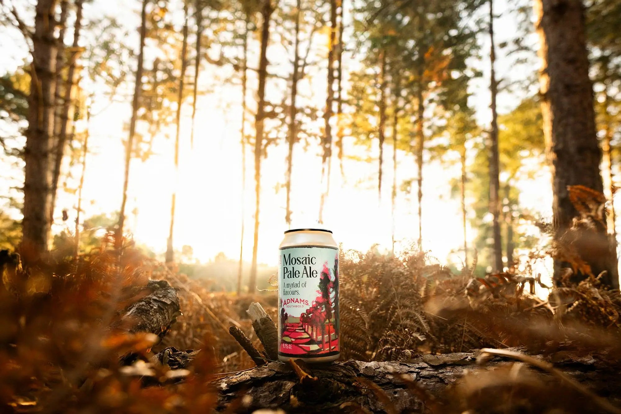 Rebranding Mosaic Pale Ale. Where the forest meets the beach. - Adnams ...