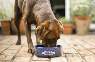 Christmas Cocktails - Mulled Broadside – Adnams PLC