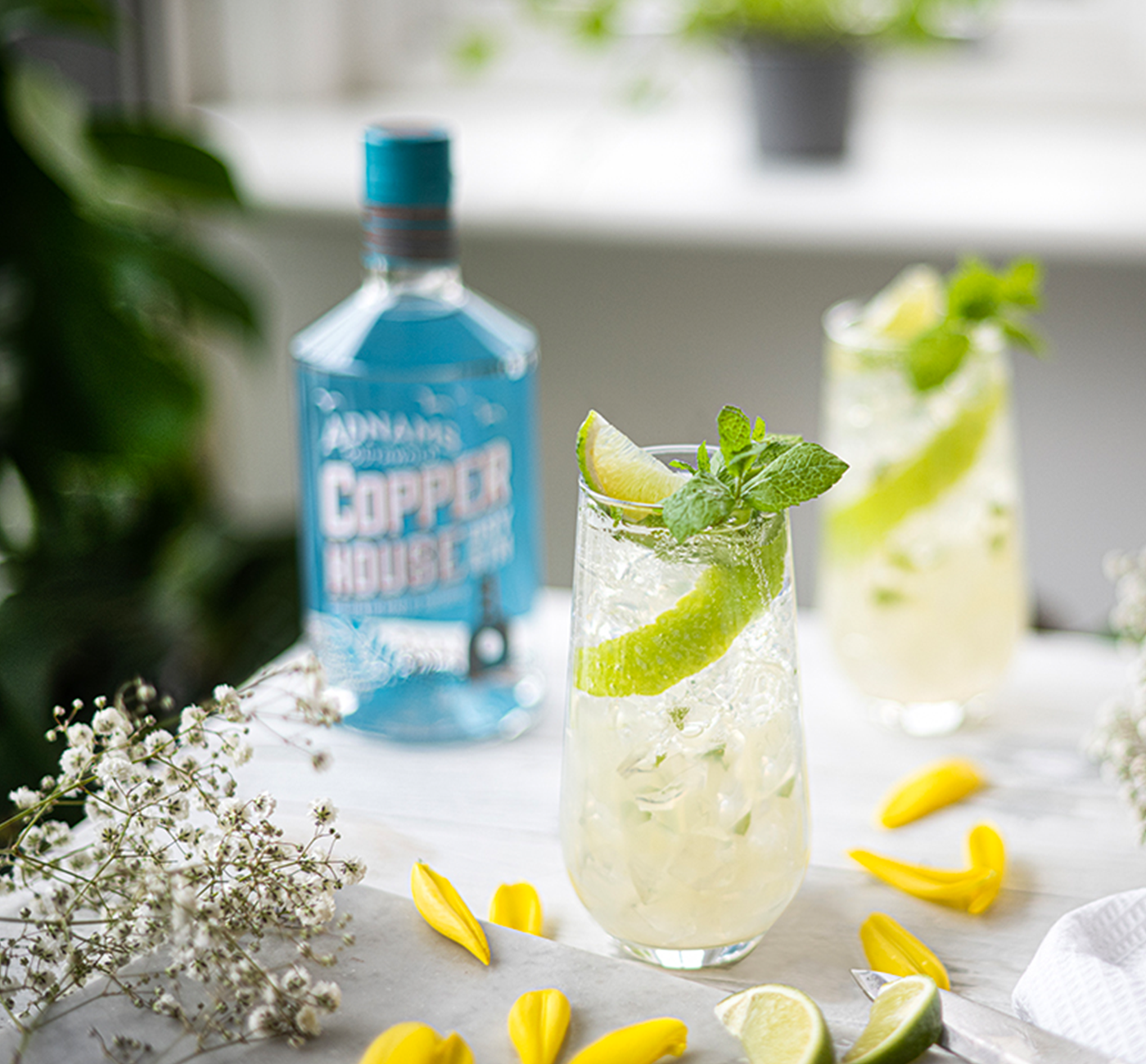 Shop Adnams – Adnams PLC